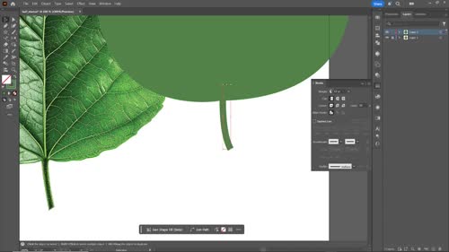 Pen Tool в Illustrator: Създаване на елемент с криви линии | Аула урок